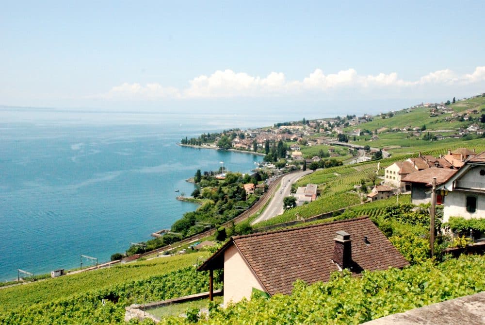 Lavaux Cully vignes | LFM la radio