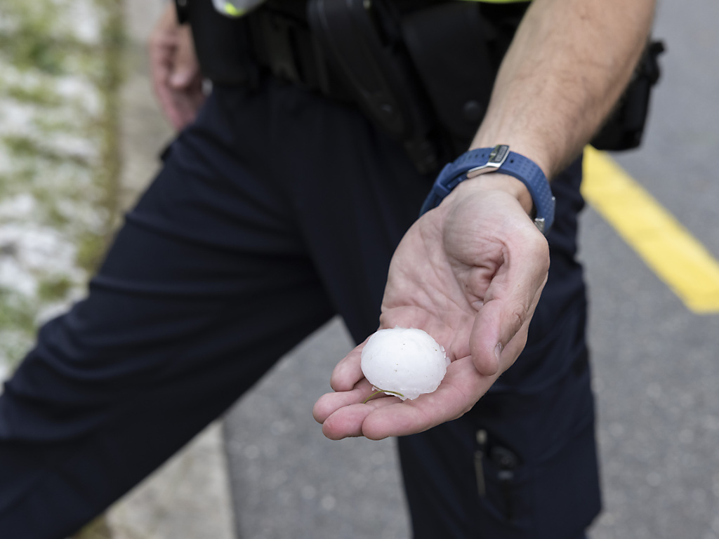 La grêle a provoqué pour 20 millions de francs de dégâts en juin | LFM ...