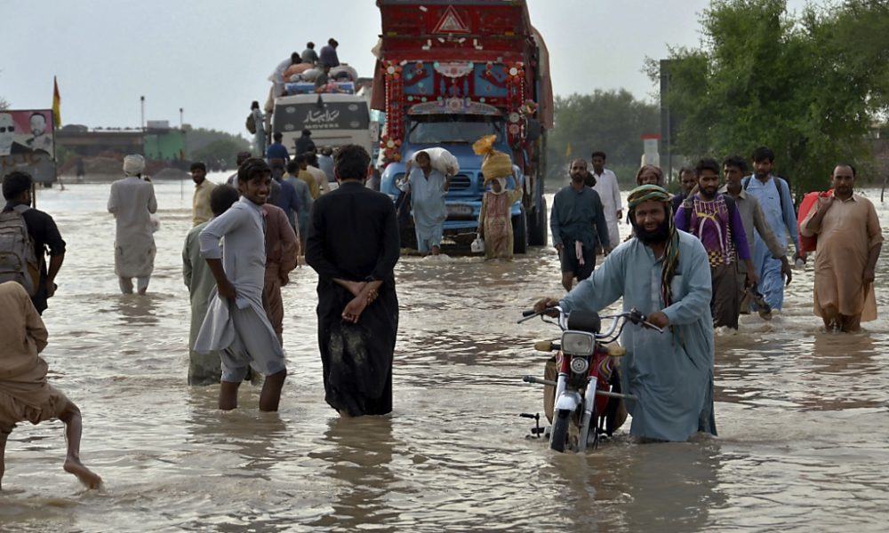 Pluies de mousson au Pakistan: plus de 800 morts depuis juin | LFM la radio