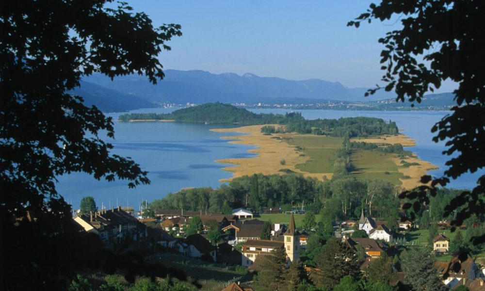 Cinq organisations s'engagent pour la nature des Trois Lacs | LFM la radio