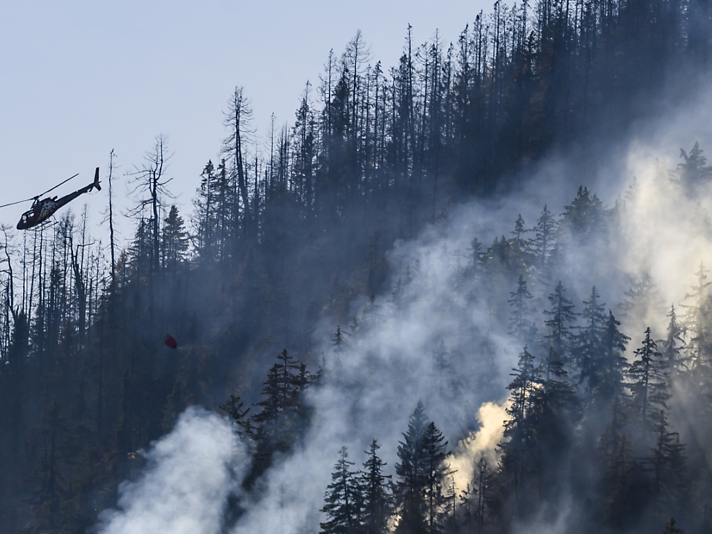 La Suisse au sec depuis bientôt un mois, risque de feux de forêt | LFM ...