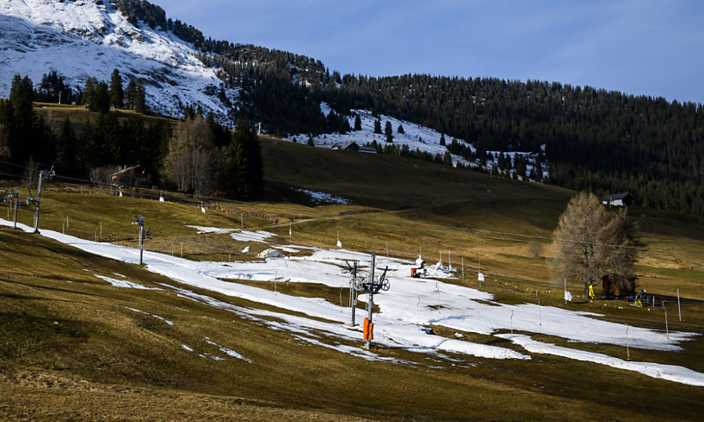 Pro Natura s'oppose aux canons à neige à Leysin-Les Mosses | LFM la radio