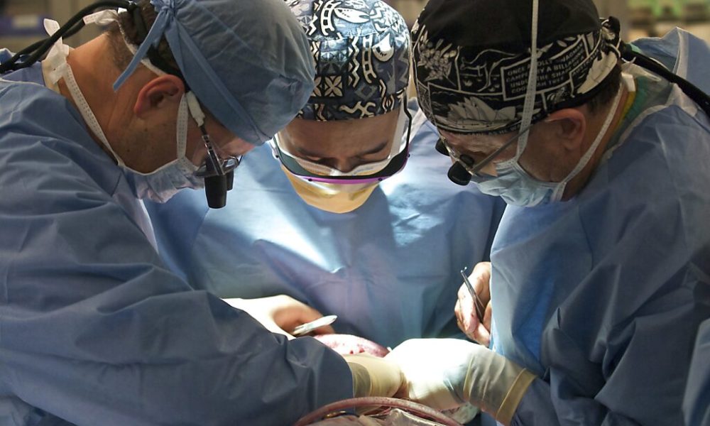 Un coeur de porc a été greffé sur un humain pour la deuxième fois | LFM ...