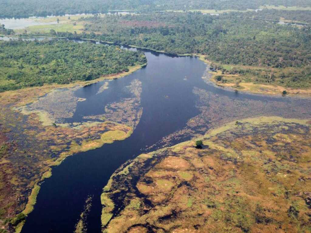 Le Ruki pourrait être le fleuve le plus noir du monde | LFM la radio