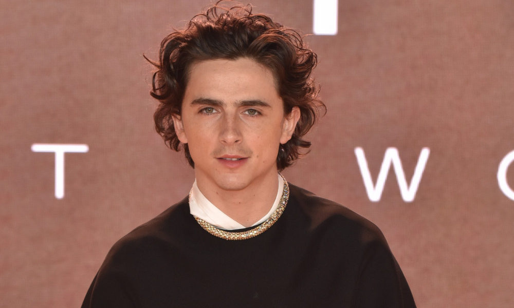 Timothée Chalamet est prêt à jouer un super-héros à une condition