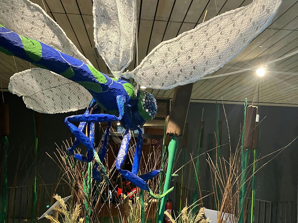 Le monde des insectes se dévoile à Sion | LFM la radio