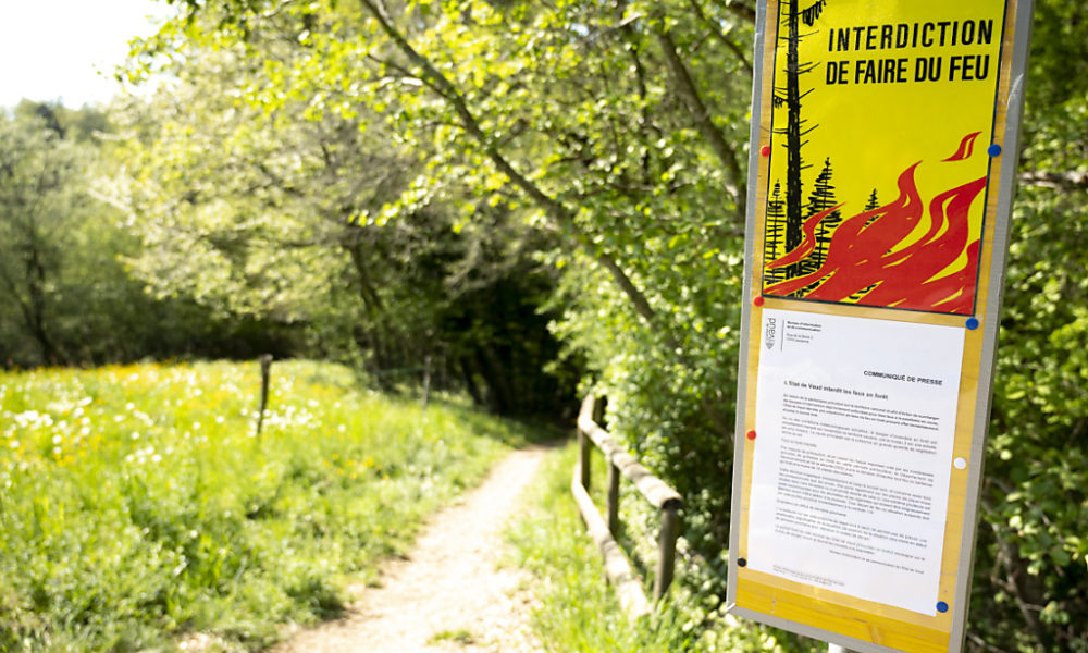 Prévention et lutte contre les incendies de forêt renforcées - Cameroun ...