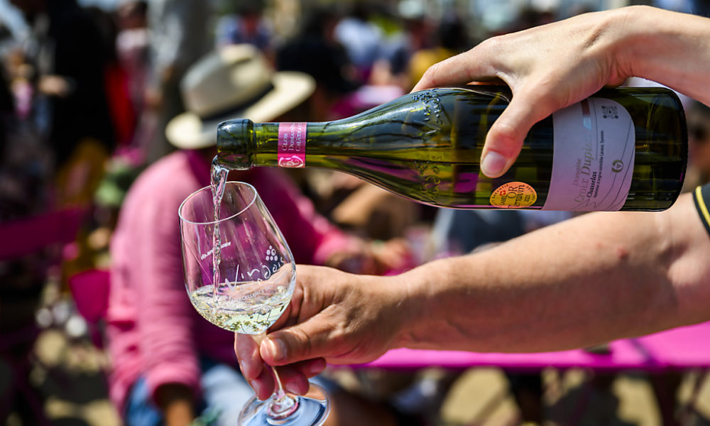 Excellente cuvée pour les caves ouvertes vaudoises 2024 - Cameroun Actuel