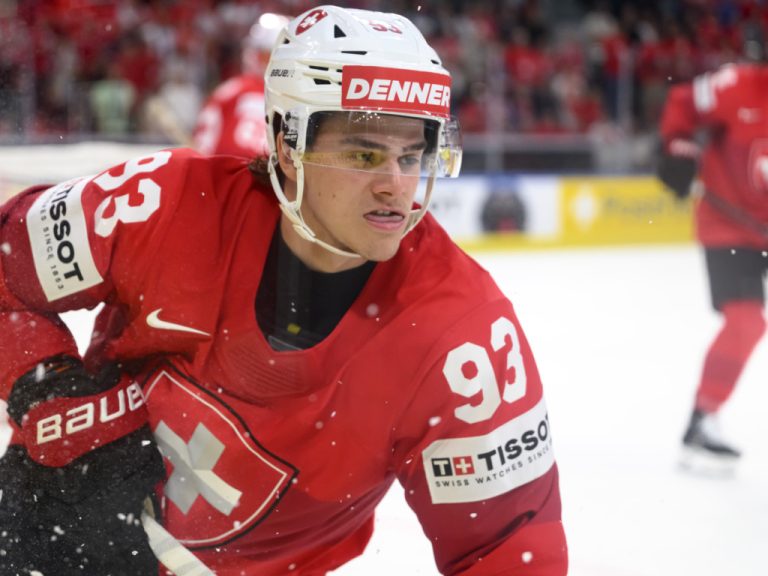Théo Rochette signe pour un an aux Red Wings | LFM la radio
